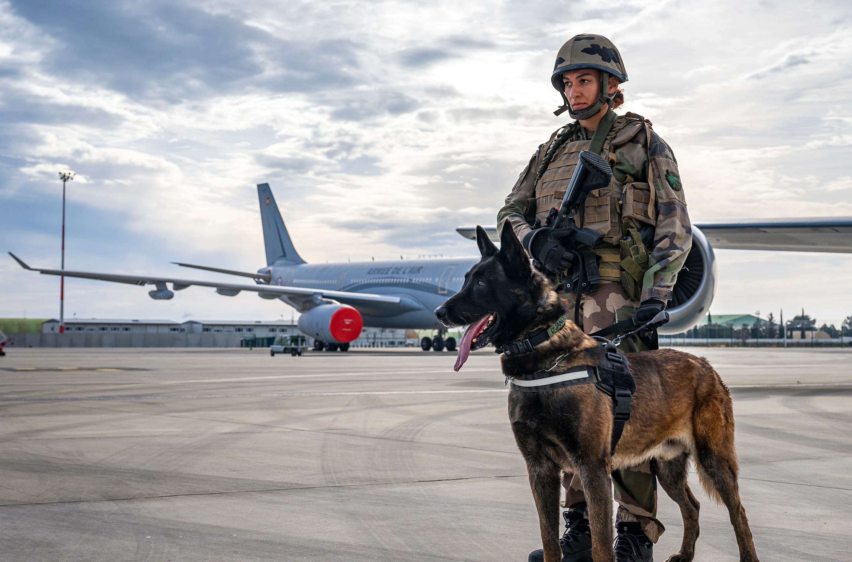 Devenir agent de prévention du péril animalier